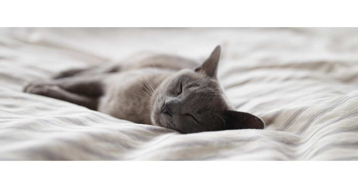 The main rules of healthy sleep